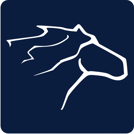 Raven Antenna Systems, Inc. - Siena Lending Group